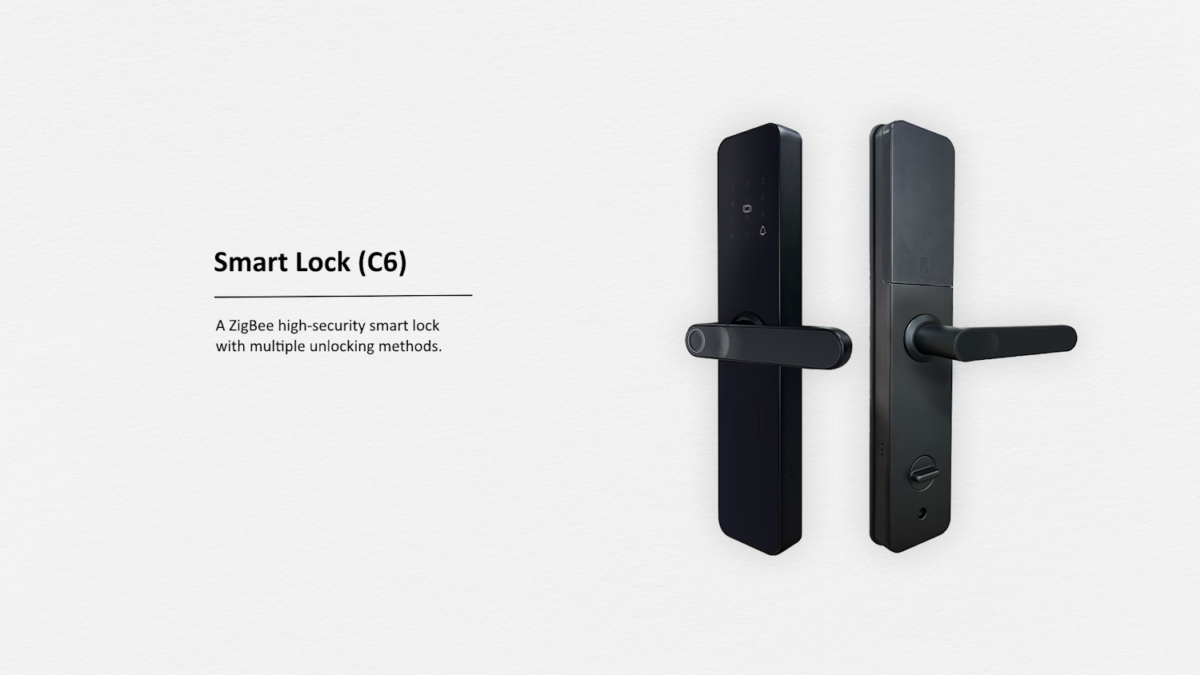 Smartlock Zigbee C6 Tecsmarts